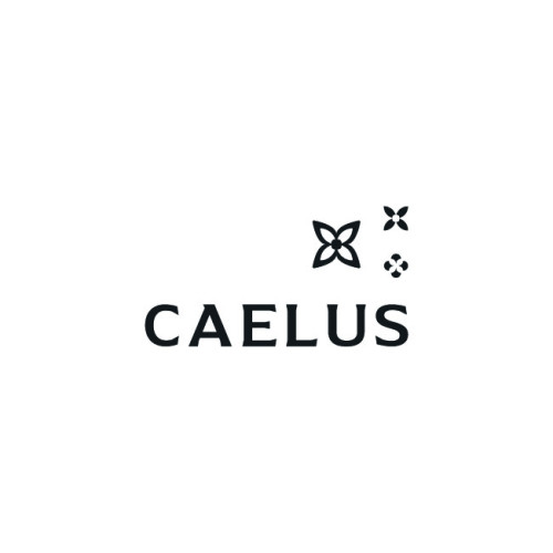 Caelus.id - JPCC Marketplace Online